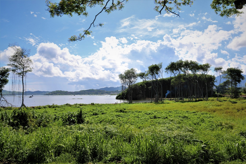 Reviving an ancient way of aquaculture at Hawaii's Heʻeia fishpond