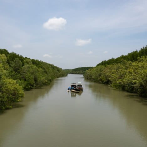 Tim Rist Archives - Conservation news