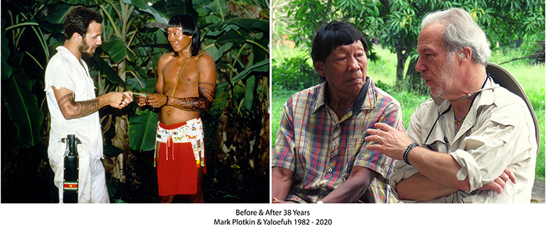 Everything you need to know about the Amazon rainforest: an interview ...