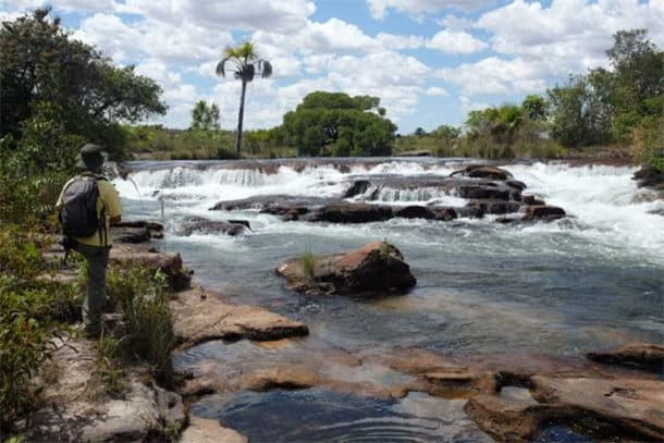 Soy made the Cerrado a breadbasket; climate change may end that