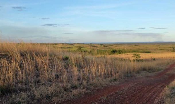 Soy made the Cerrado a breadbasket; climate change may end that