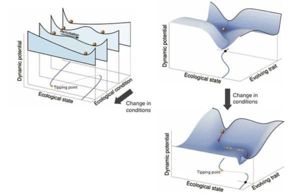 Climate tipping point ecosystem collapses may come faster than thought ...