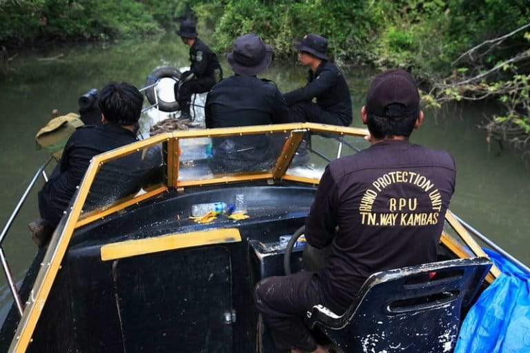 U.S. fund that supports Sumatran rhino research faces deep cuts under Trump