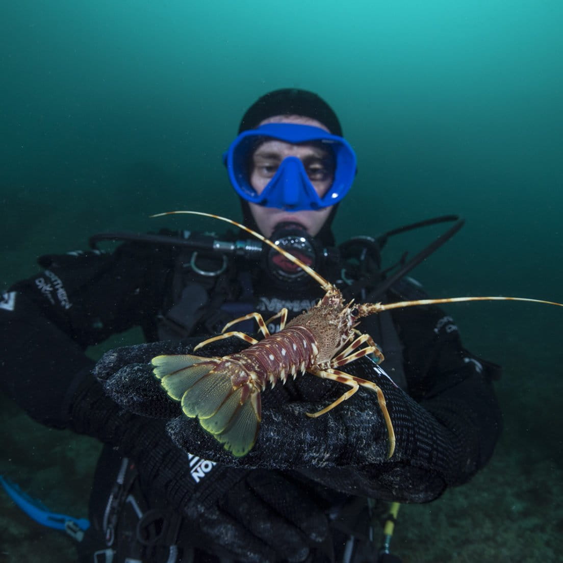 May 2020 - Conservation news