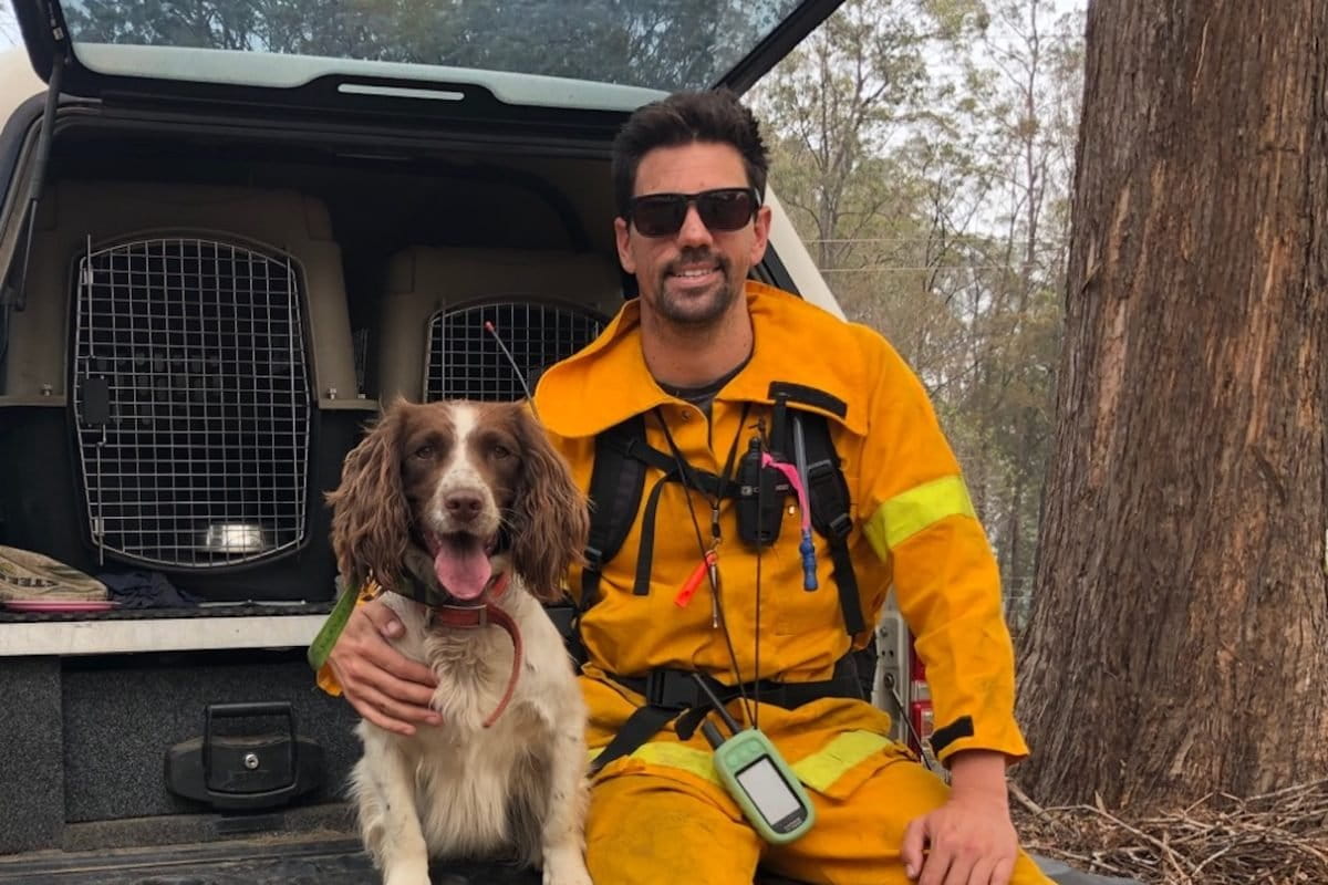 May 2020 - Conservation news