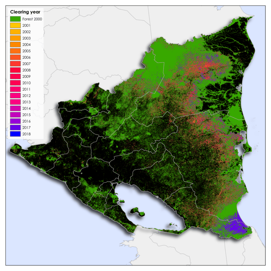 Nicaraguan beef, grazed on deforested and stolen land, feeds global demand