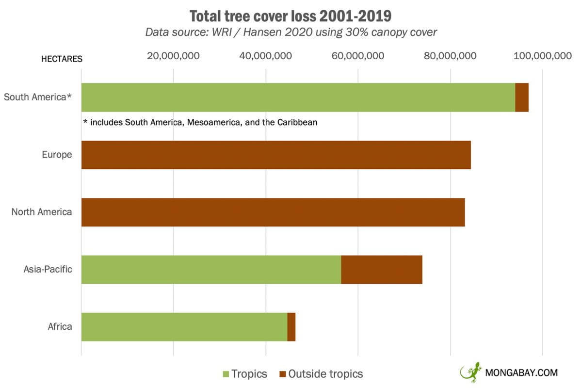 How much rainforest is being destroyed? - Global ResearchGlobal ...
