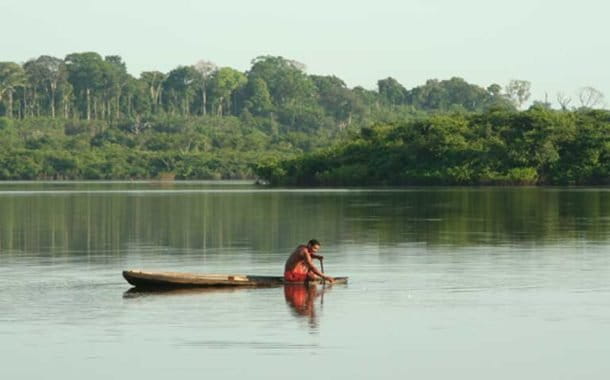 Amazon poor go hungry as Brazil slashes social safety net, cuts forests ...