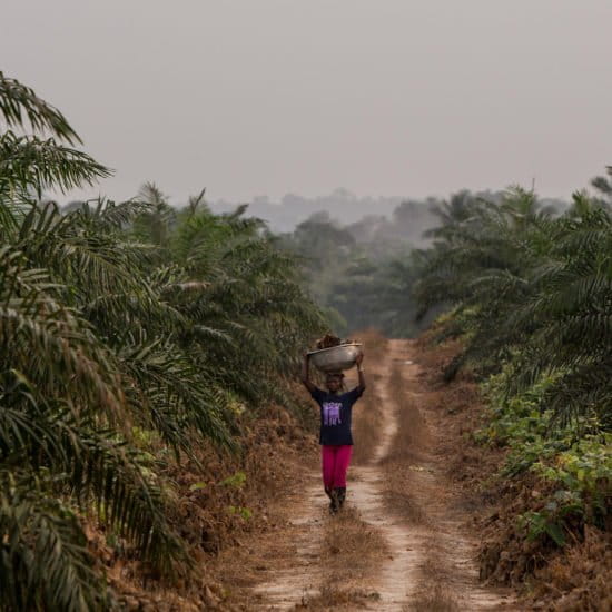 Ashoka Mukpo Archives - Conservation news