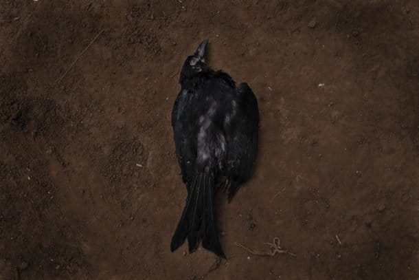 Photos: In southern Papua, navigating an alien world built on palm oil