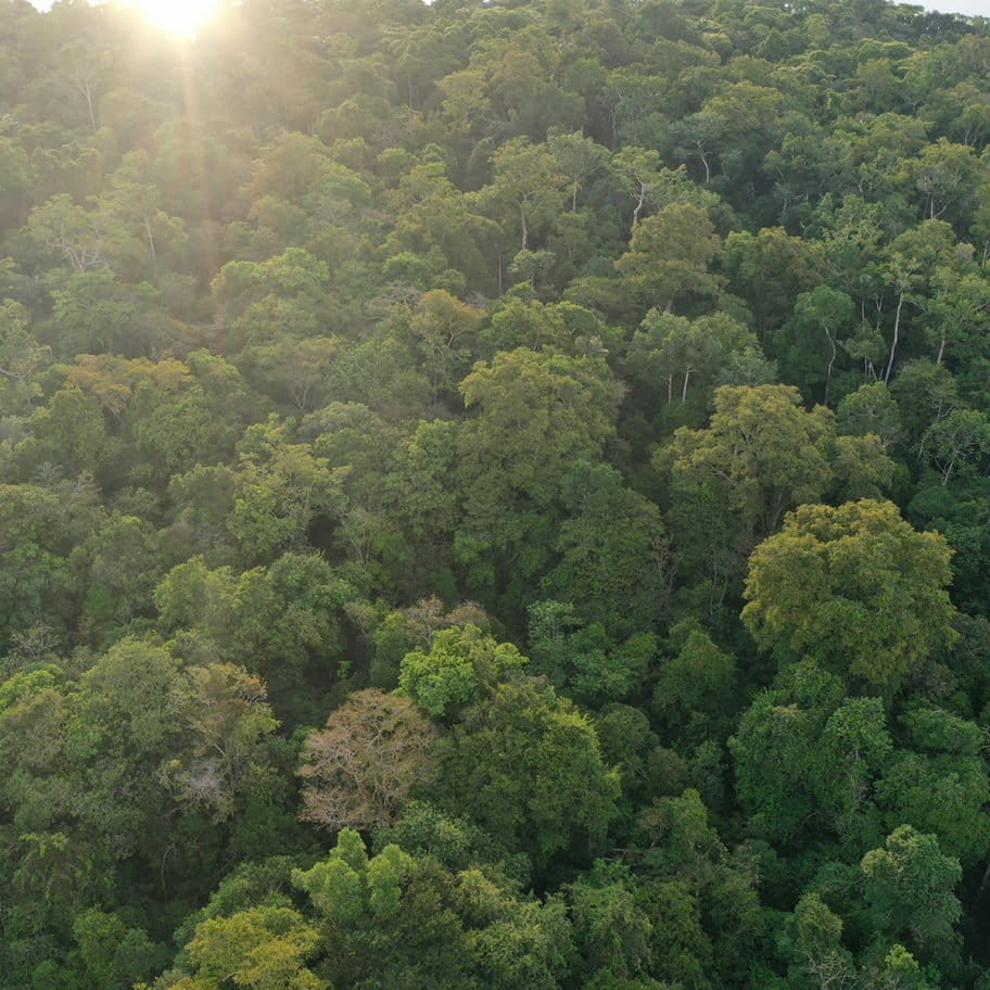 Conservation news on Tipping points