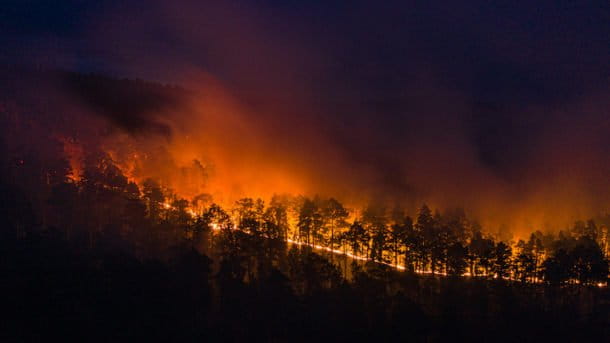 Photos show scale of massive fires tearing through Siberian forests