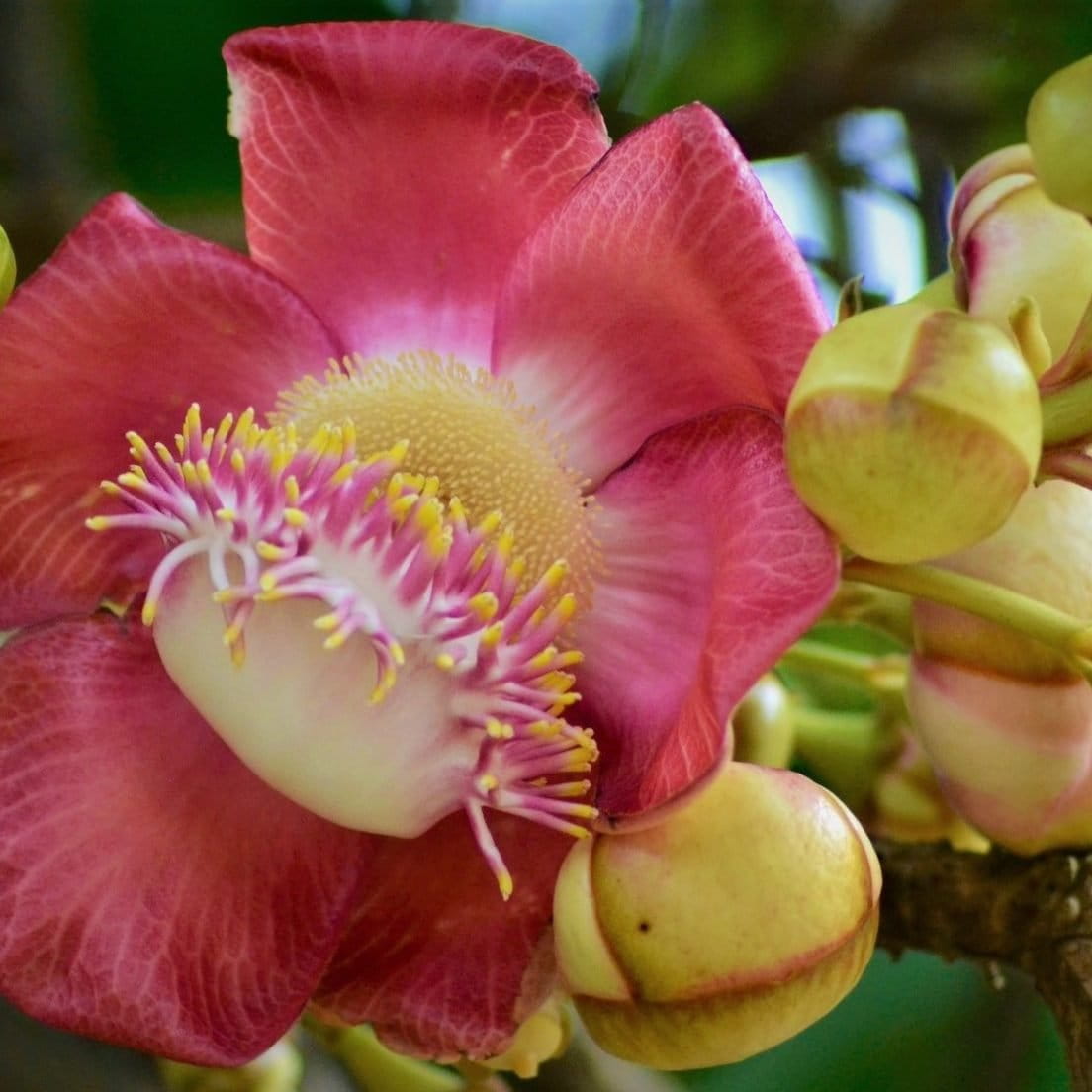 Malaka Rodrigo Archives - Page 2 of 4 - Conservation news