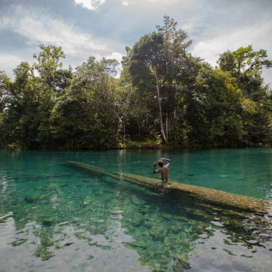Leatherback sea turtle no longer Critically Endangered