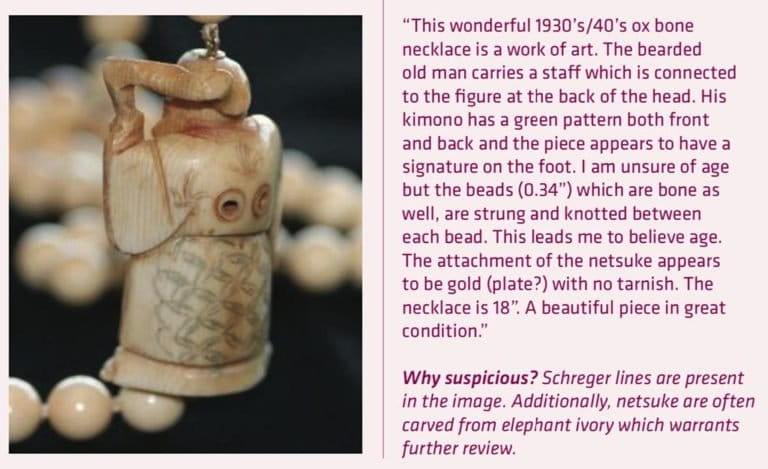 Is that ivory from an elephant or a nut? A new guide shows how to tell