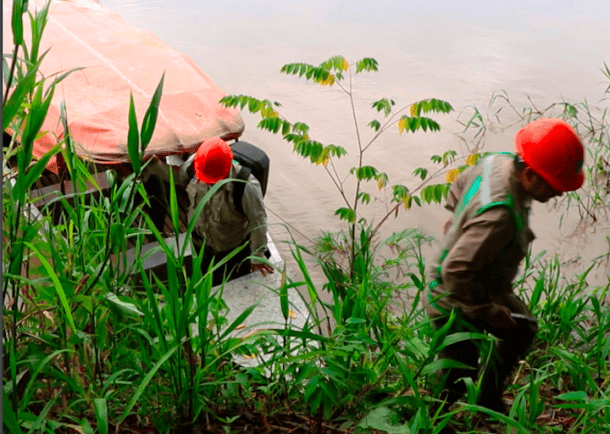 Company investigated for timber trafficking gets stimulus from Peru ...