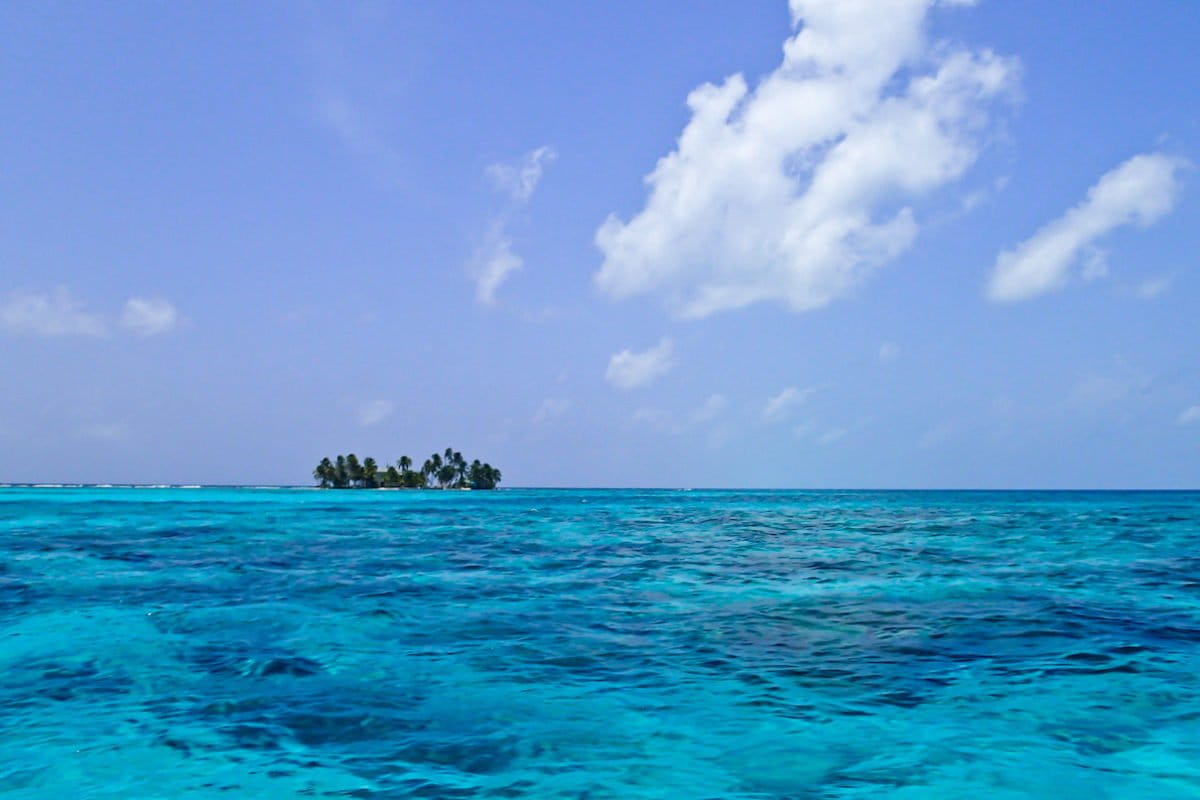 Conservation news on Gillnets