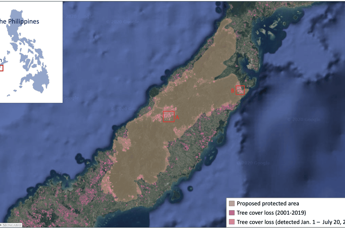 Amid South China Sea dispute, Philippines’ Palawan is besieged by ...