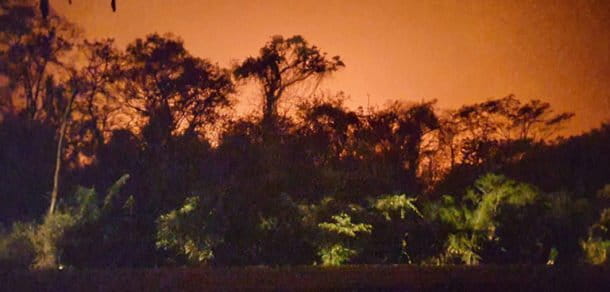 Wildlife emergency in Bolivia as fires threaten animal sanctuaries