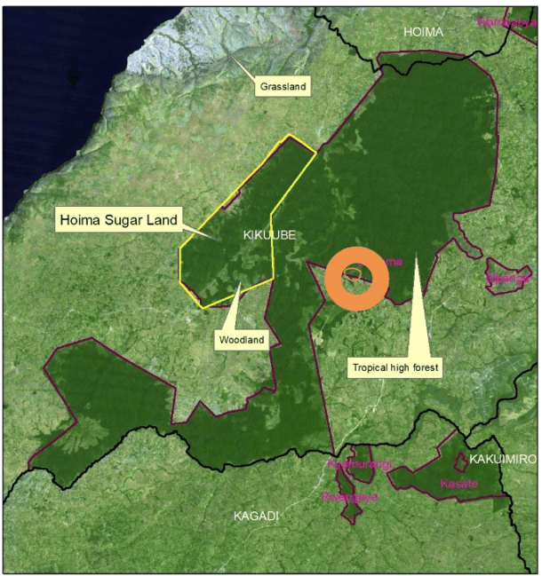 Uganda environment authority greenlights clearing of Bugoma Forest