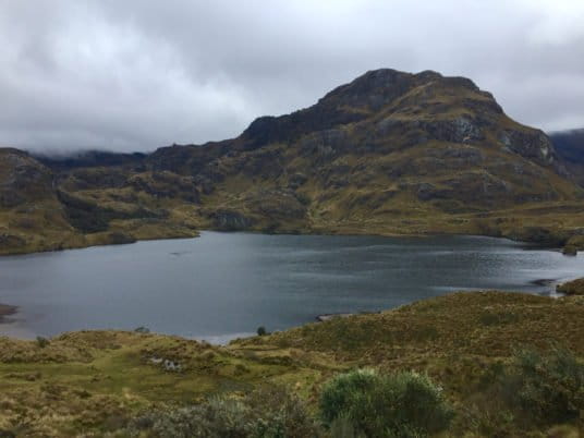 Ecuadoran water fund transforms consumers into conservationists