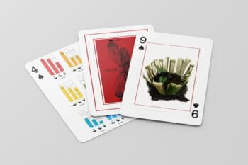 Bug bites: Edible insect production ramps up quickly in Madagascar