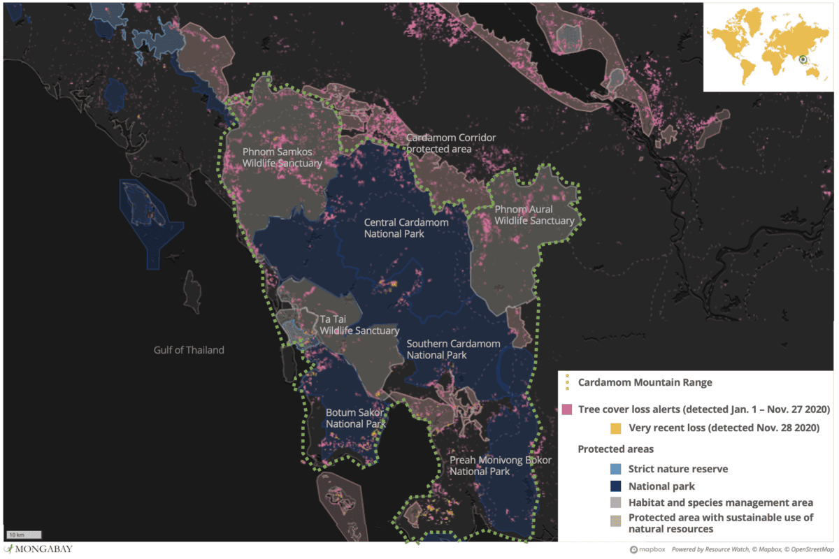 Alleged gov't-linked land grabs threaten Cambodia’s Cardamom Mountains
