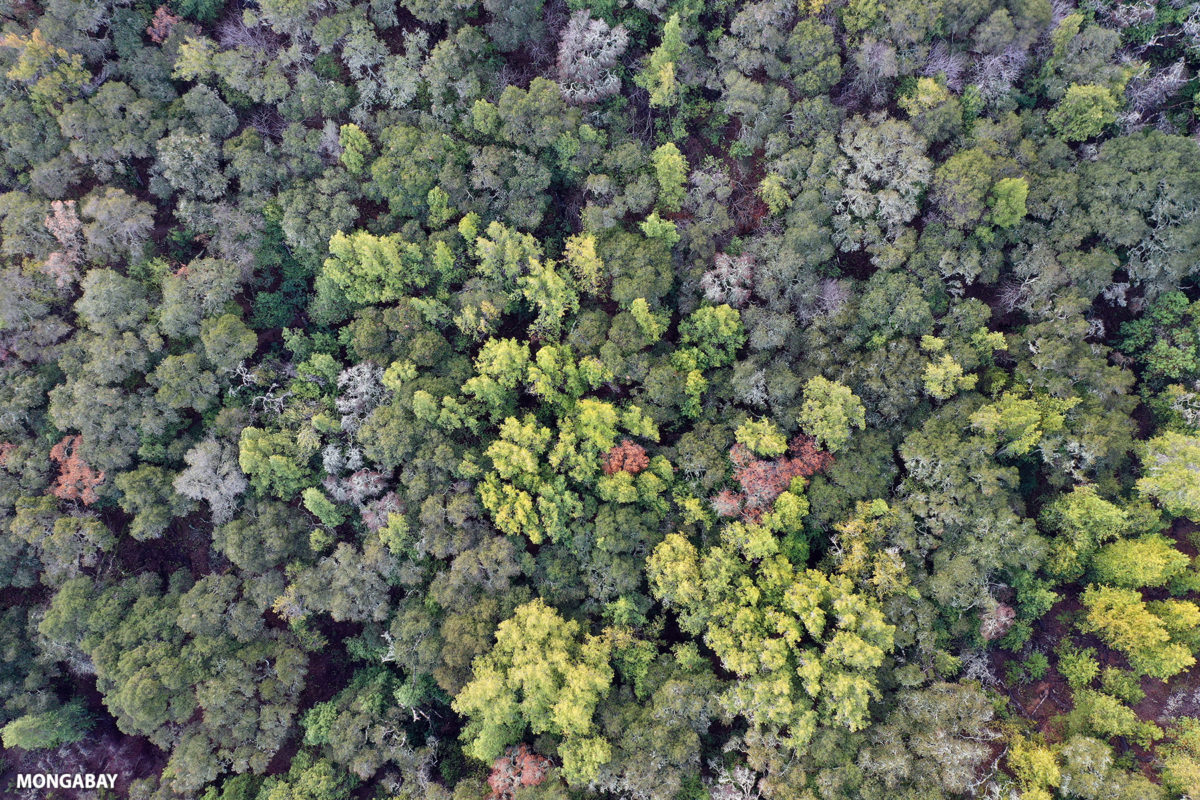 Nature drone photos: 2020 highlights (Insider)