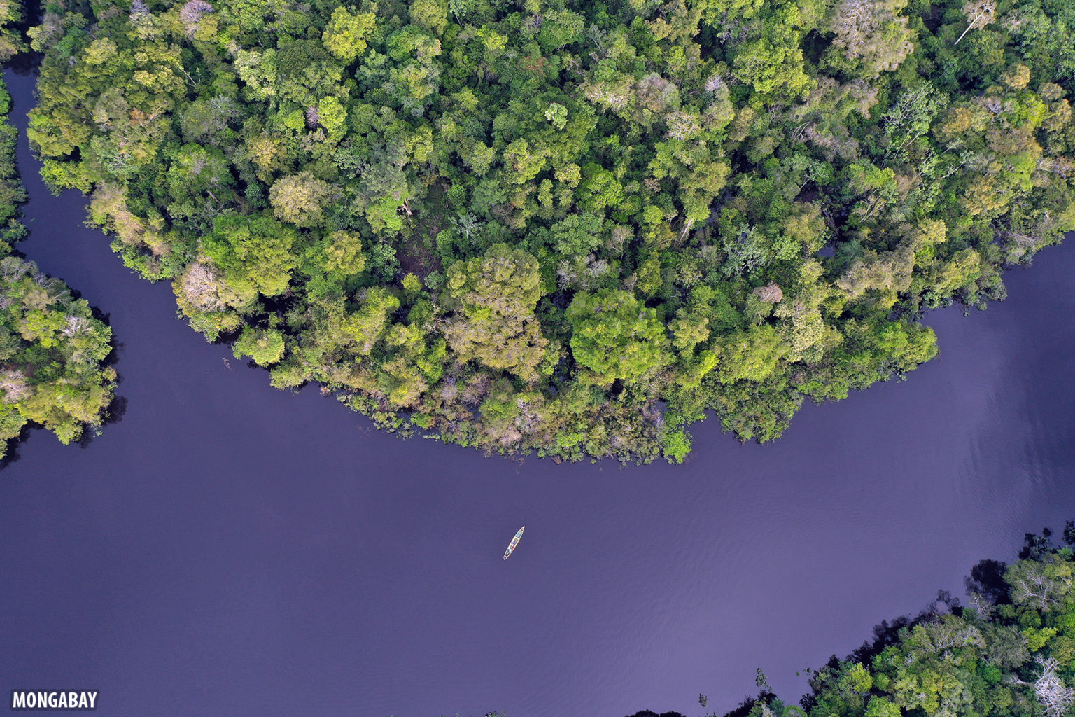 Nature drone photos: 2020 highlights (Insider)