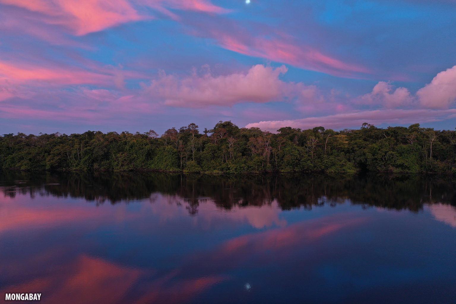 Nature drone photos: 2020 highlights (Insider)