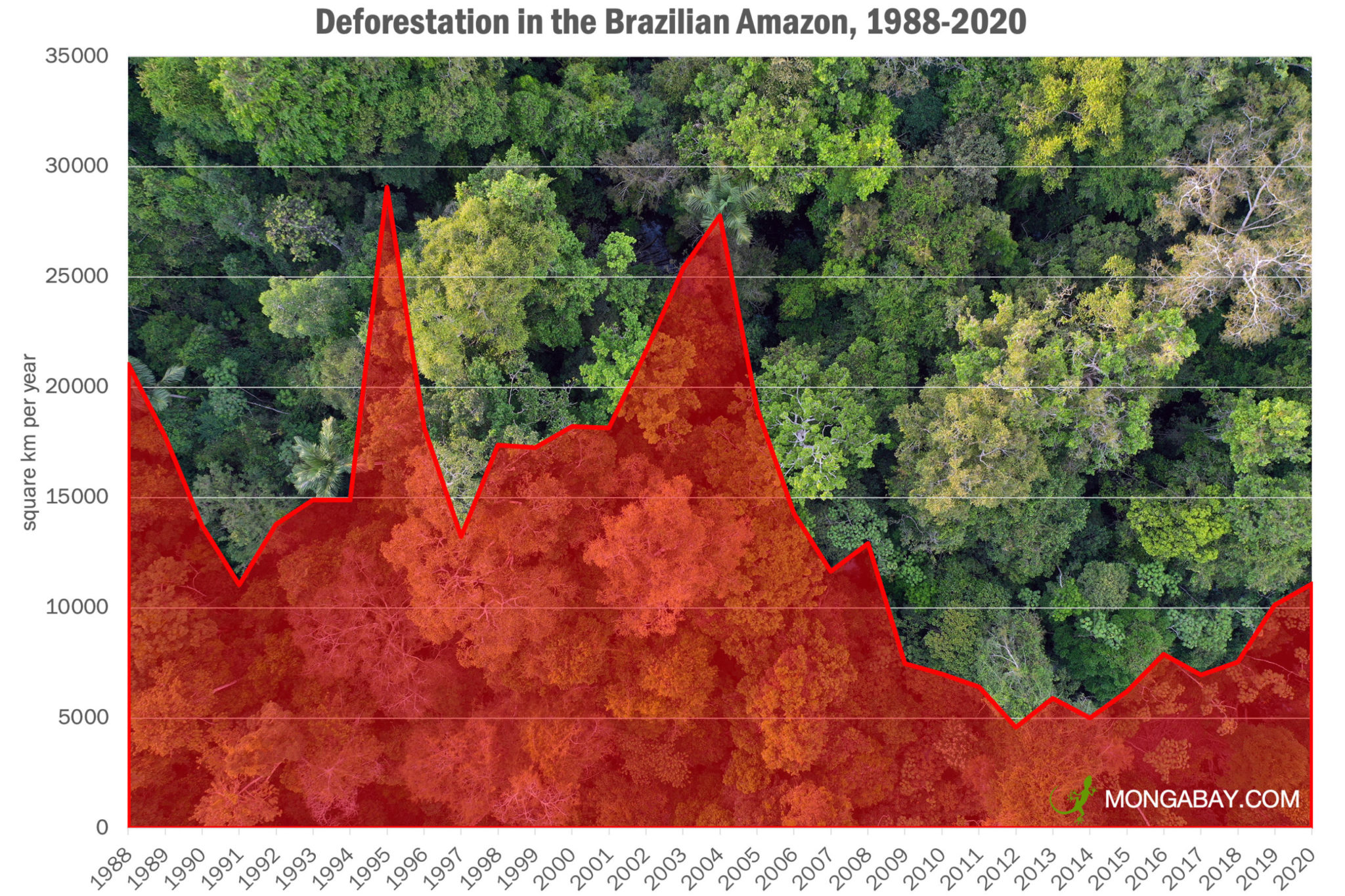 Soy moratorium averted New Jersey-size loss of Amazon rainforest: Study