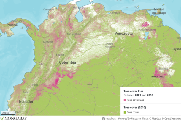 Colombia’s forests lurch between deforestation and the hope for a ...