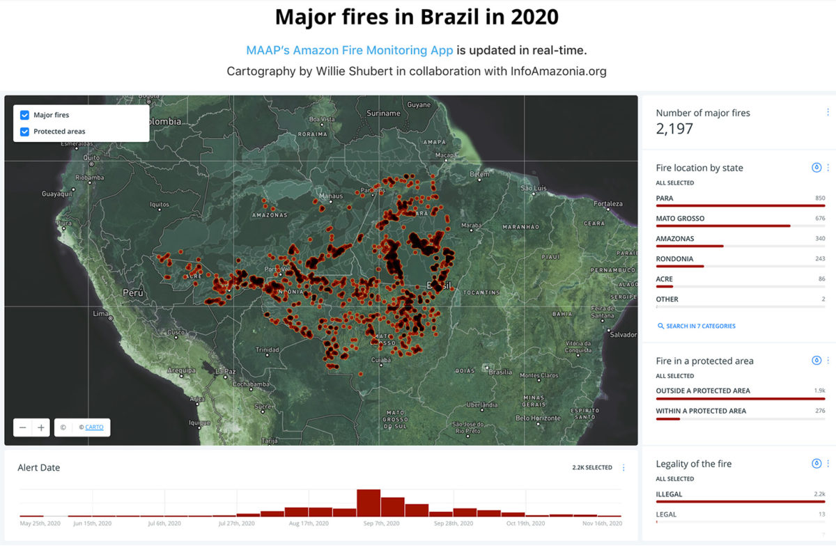 How COVID-19 impacted rainforests in 2020 - Philippine Canadian ...