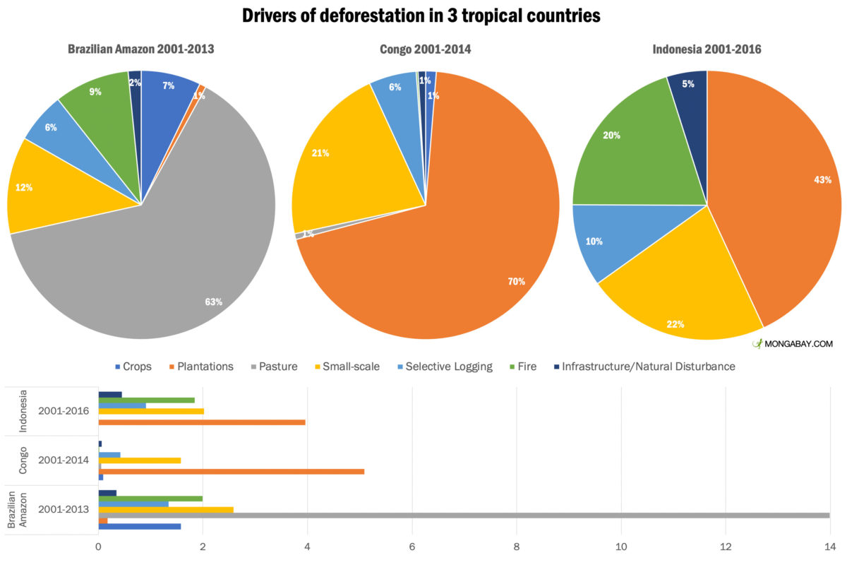 How the pandemic impacted rainforests in 2020: a year in review
