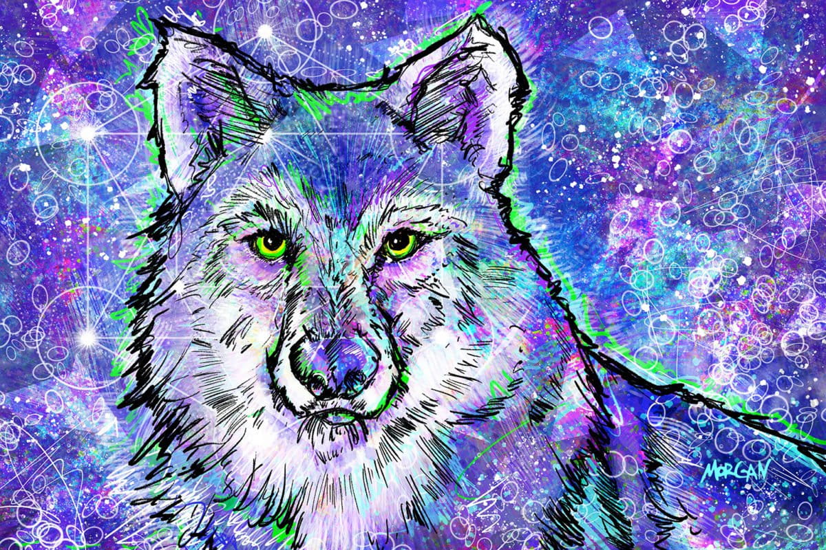 Bringing color to conservation: a conversation with wildlife artist ...