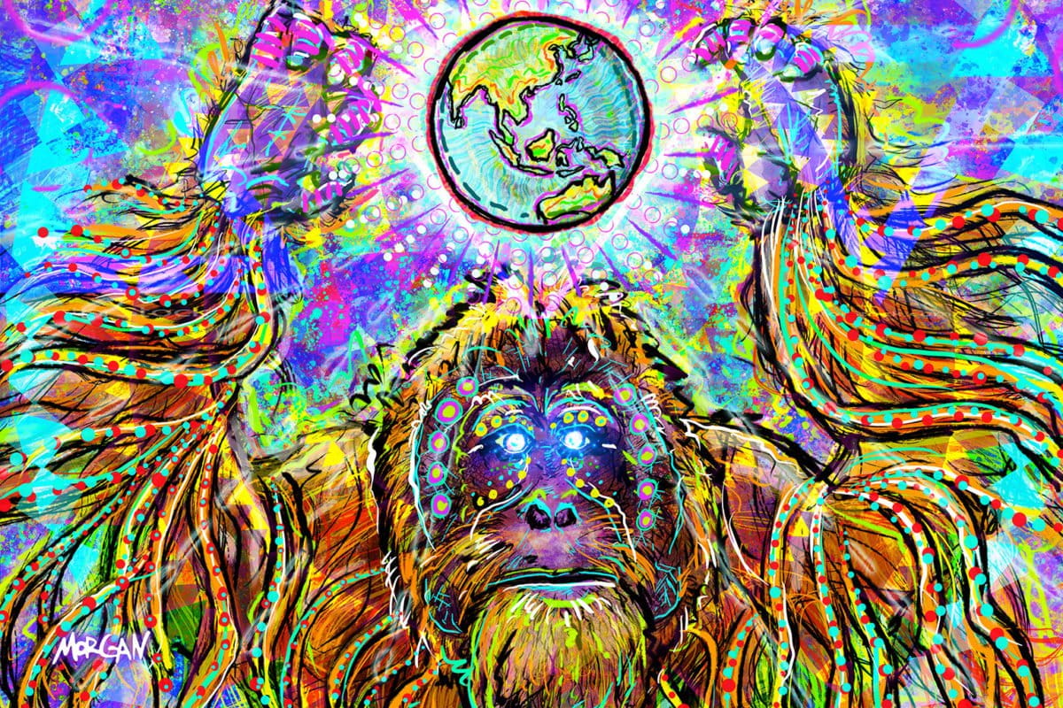 Bringing color to conservation: a conversation with wildlife artist ...