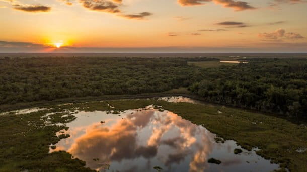 Big cat comeback: Jaguars prowl Argentina’s Iberá Wetlands after 70 years