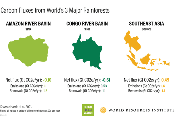 Amazon is on the brink of turning into a carbon source, study warns