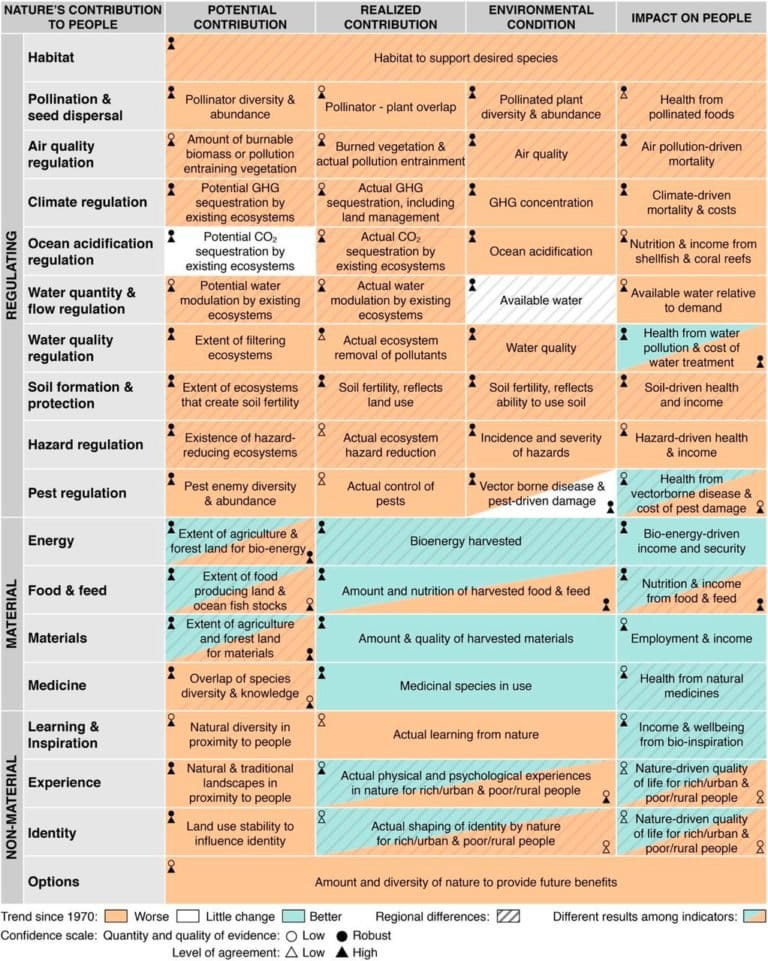 As nature declines, so does human quality of life, study finds