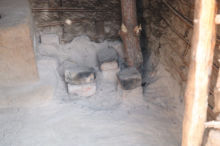 Teachers create lasting change for people and primates via clean ...