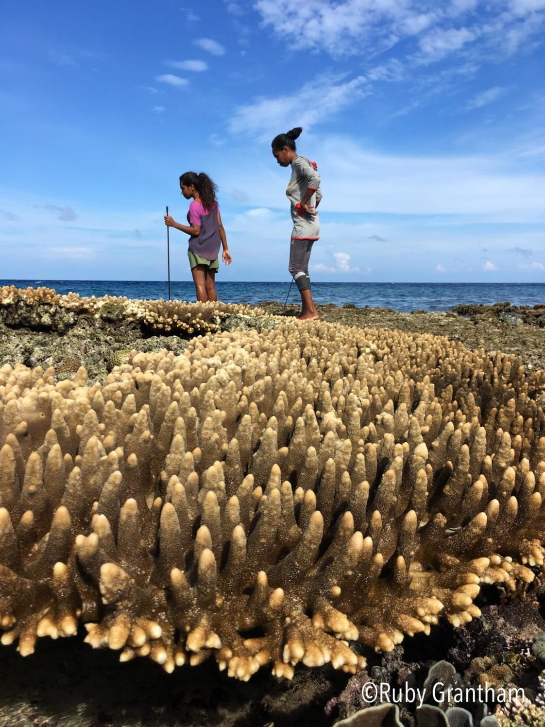 When seas turn rough, gleaning keeps the fish on the table for some ...