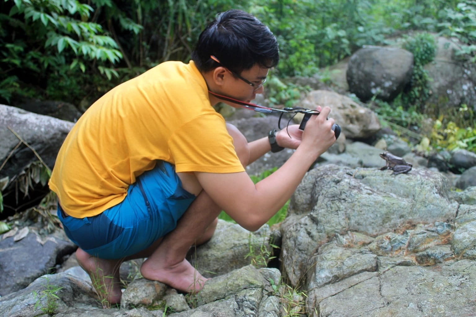 One-hit wonder frog makes a comeback in the southern Philippines