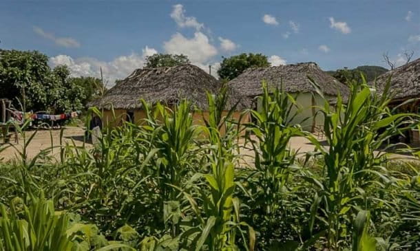 The Kalunga digitally map traditional lands to save Cerrado way of life