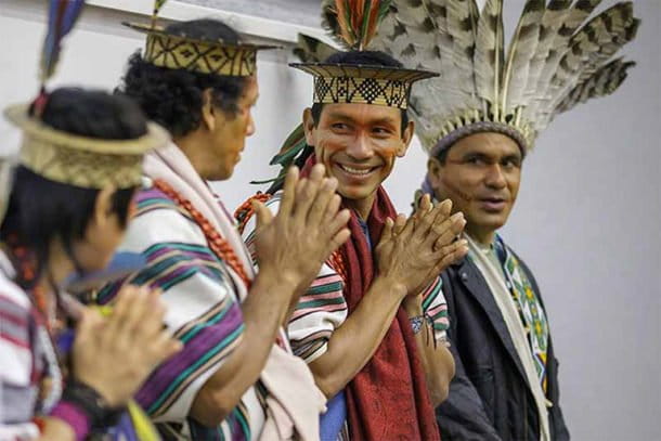 ‘There are no silver bullets’ in conservation: Synchronicity Earth’s ...