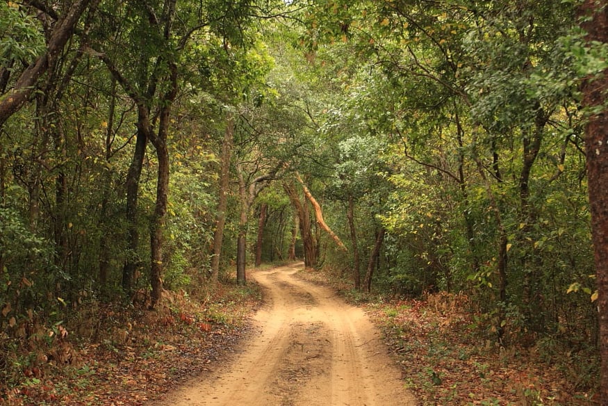 Malaka Rodrigo Archives - Page 2 of 4 - Conservation news