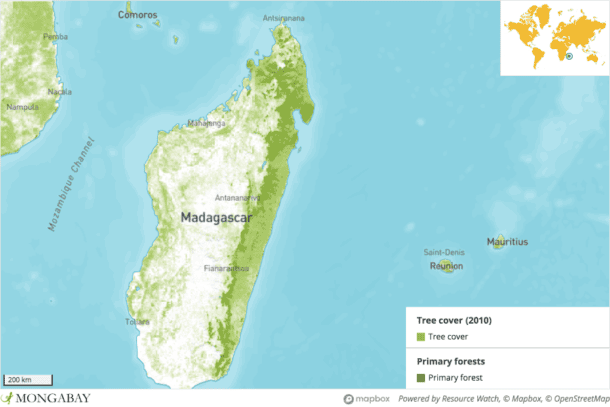 Reforested areas rival mature forests in securing water, study finds
