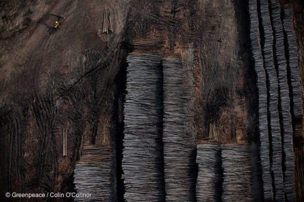 Melina Laboucan-Massimo: Catalyzing an Indigenous-led just energy transition