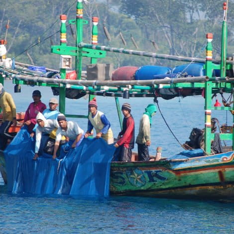 Series: Indonesian Fisheries