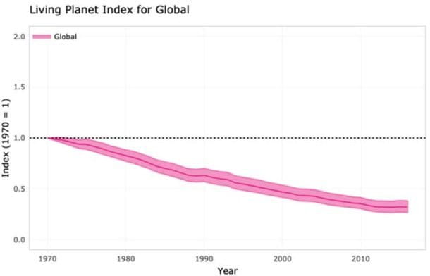 The nine boundaries humanity must respect to keep the planet habitable