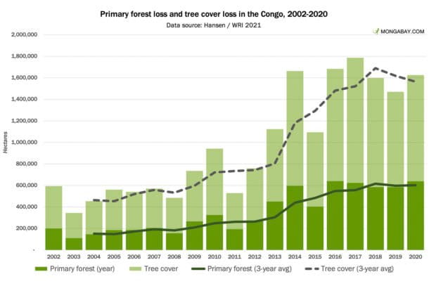Global forest loss increased in 2020